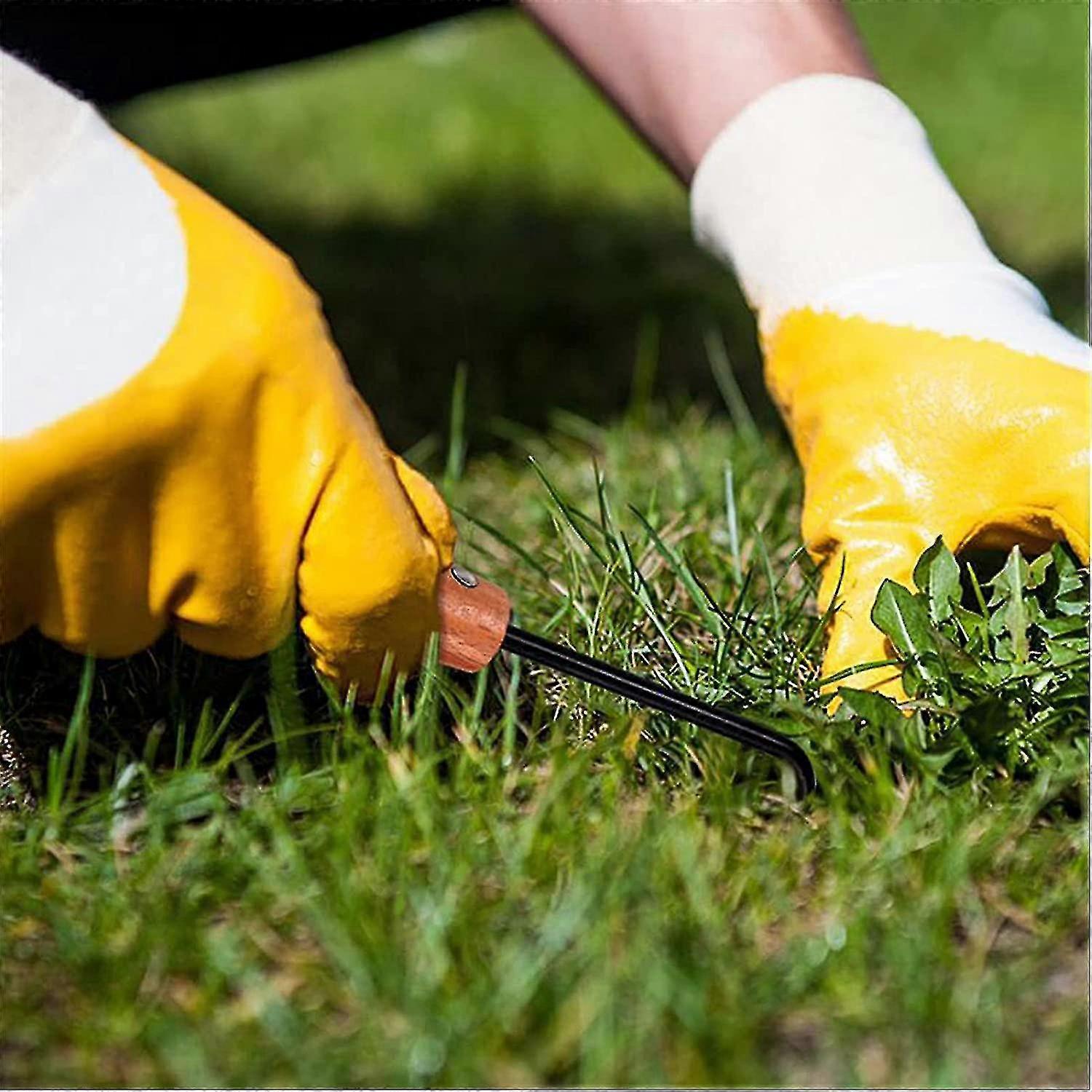 Weed Scraper With Handle Weeding Machine With Shaft Garden Trench ...