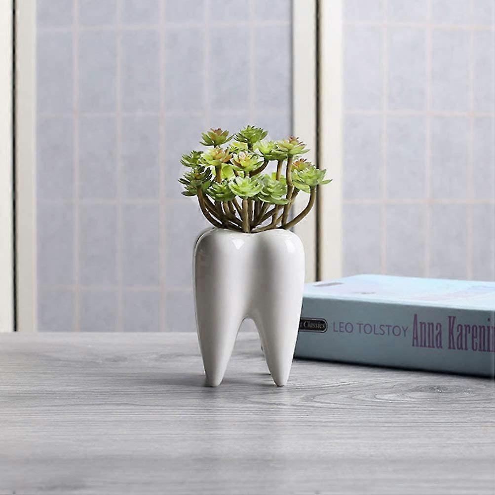 2Pcs Cute Tooth Shaped Ceramic Flower Pot Succulent Planter Pot Bonsai ...
