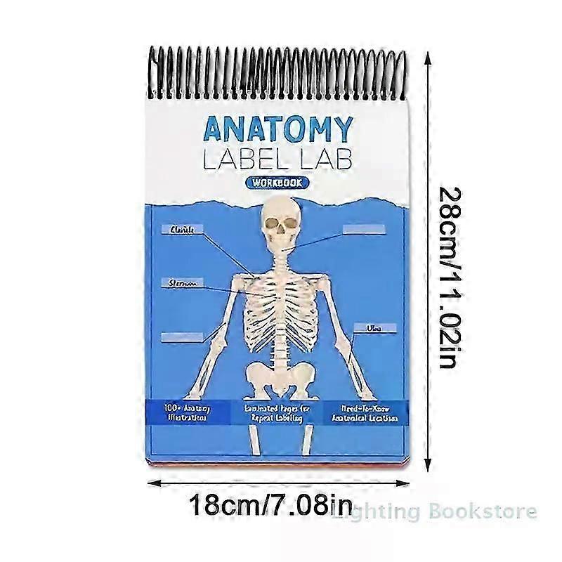 Anatomy Label Lab Workbook 100+ Full-color Dry-erase Pages With Human ...