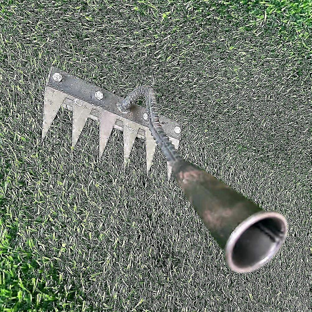 Weeding Hoe Rake Sharpen Garden Weeding Rake Tool with 5 Tines Steel ...