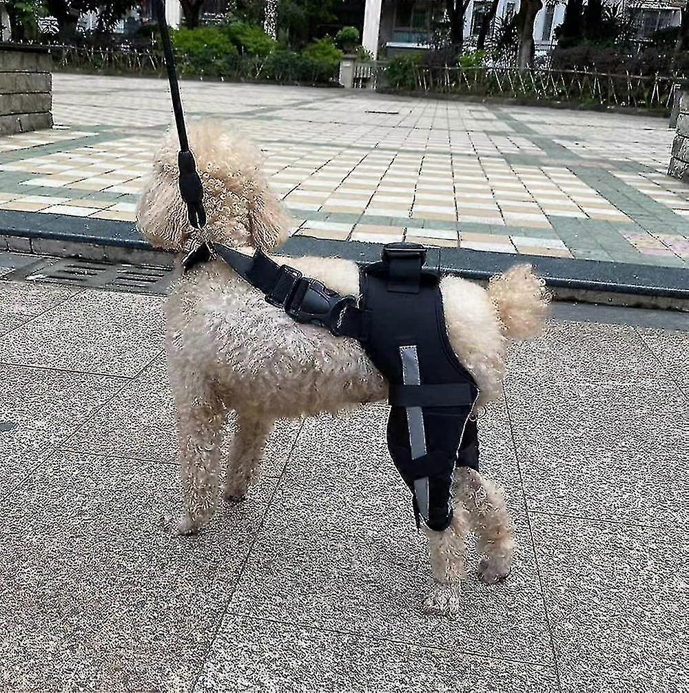 1pair Dog Rear Leg Brace For Canine Leg Wounds Heals, Prevents Joint ...
