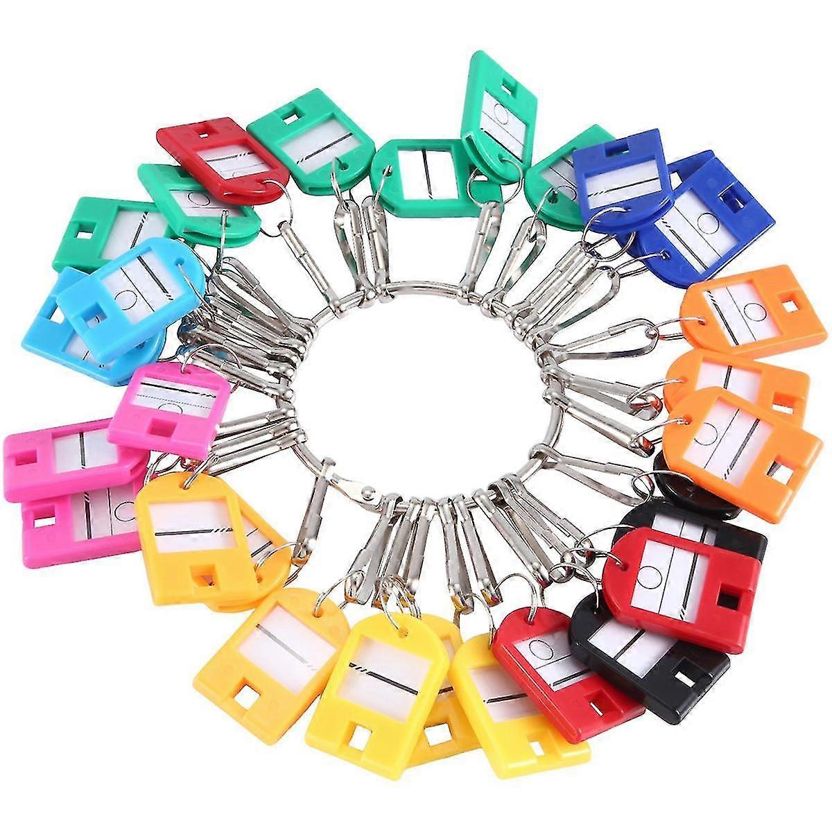 Portable Key Organizer, with 30 Individual Spring Hooks and Key Tags ...