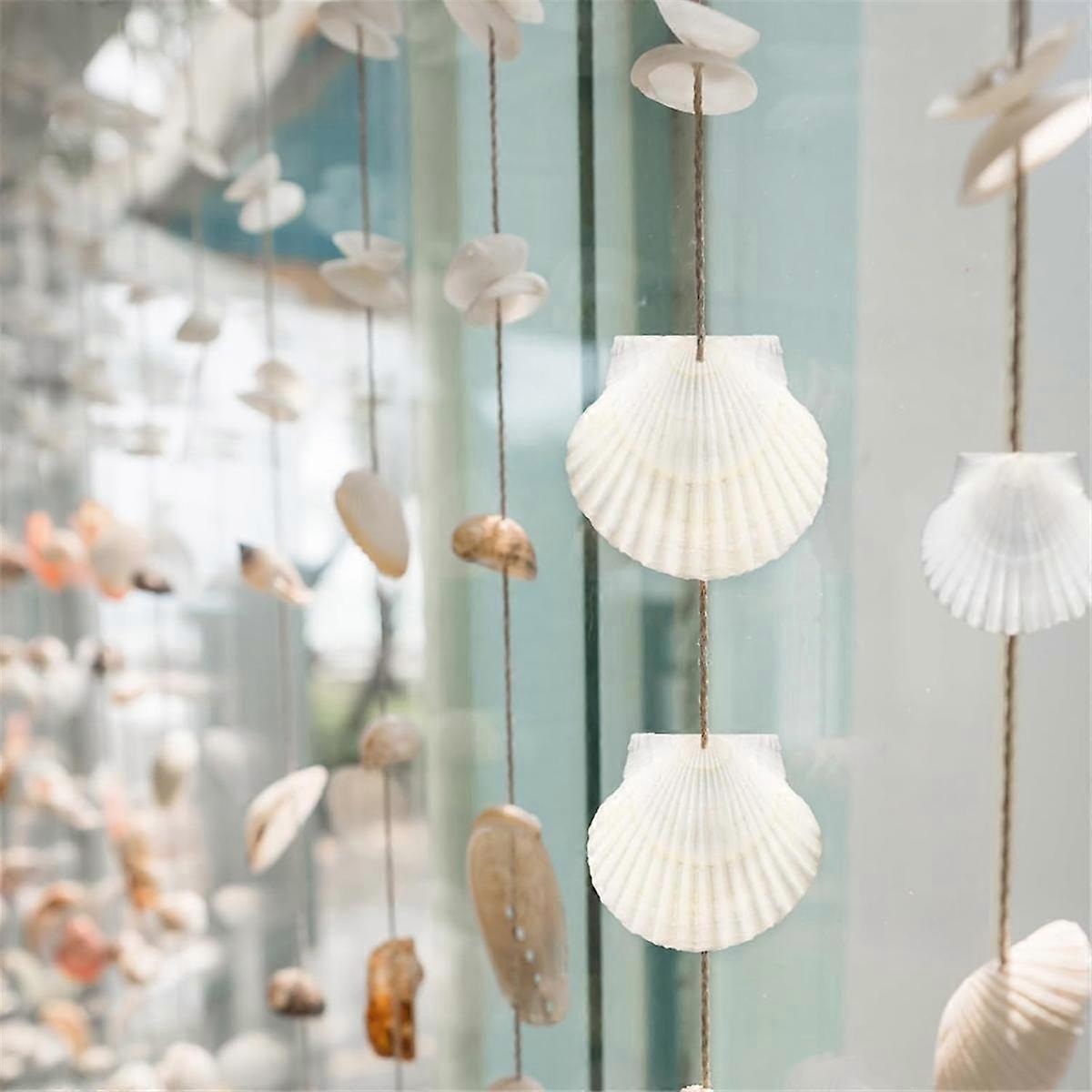 40PCS Natural Scallop Shells 1.4-2.4inch White Small Sea Shells for ...