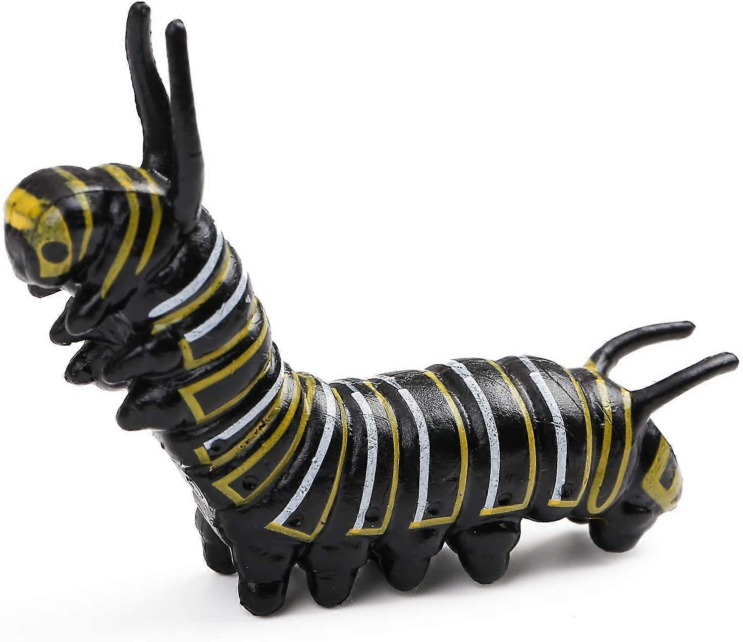 4 Piece Butterfly Life Cycle Kit Monarch Butterfly Lifestyle Stages ...