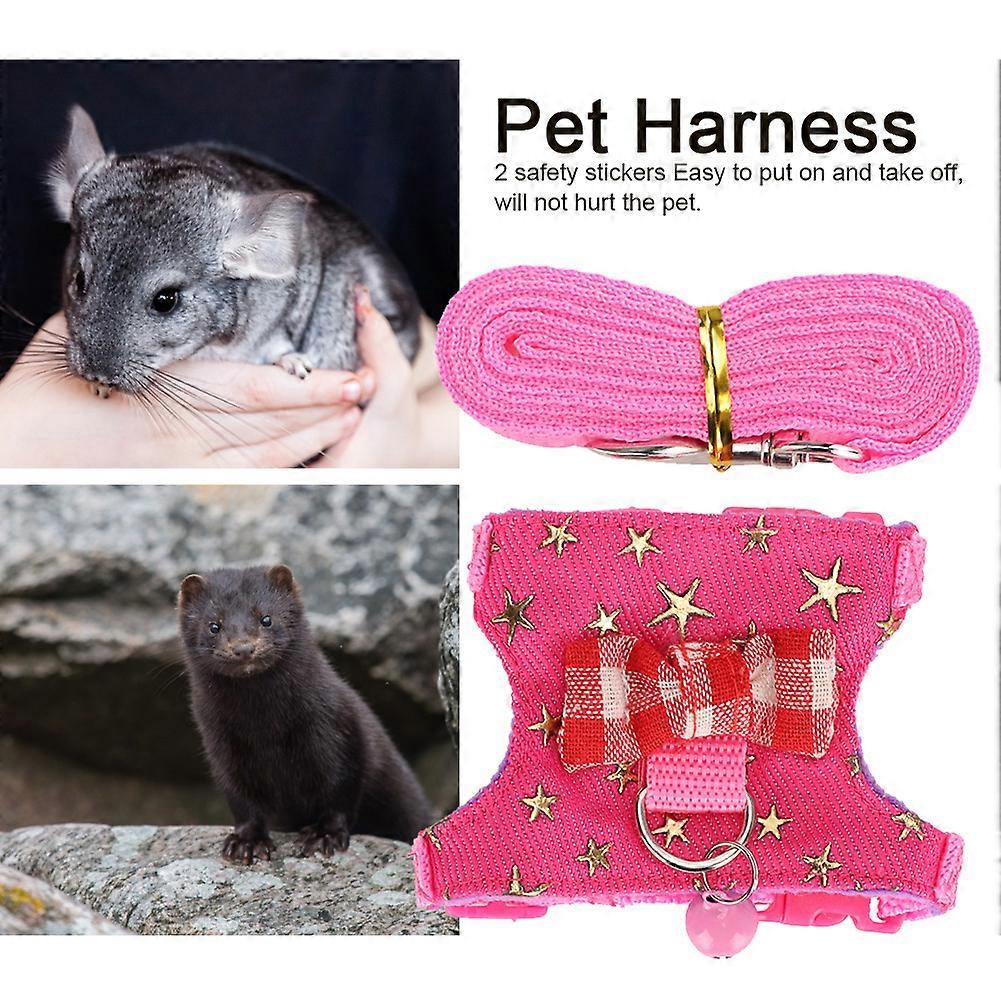 Small Animal Walking Harness Vest Leash Set Outdoor Chest Strap for ...