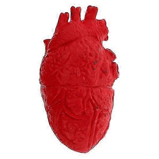 Horror Fake Heart Simulation Fake Human Heart Model Realistic Creepy ...