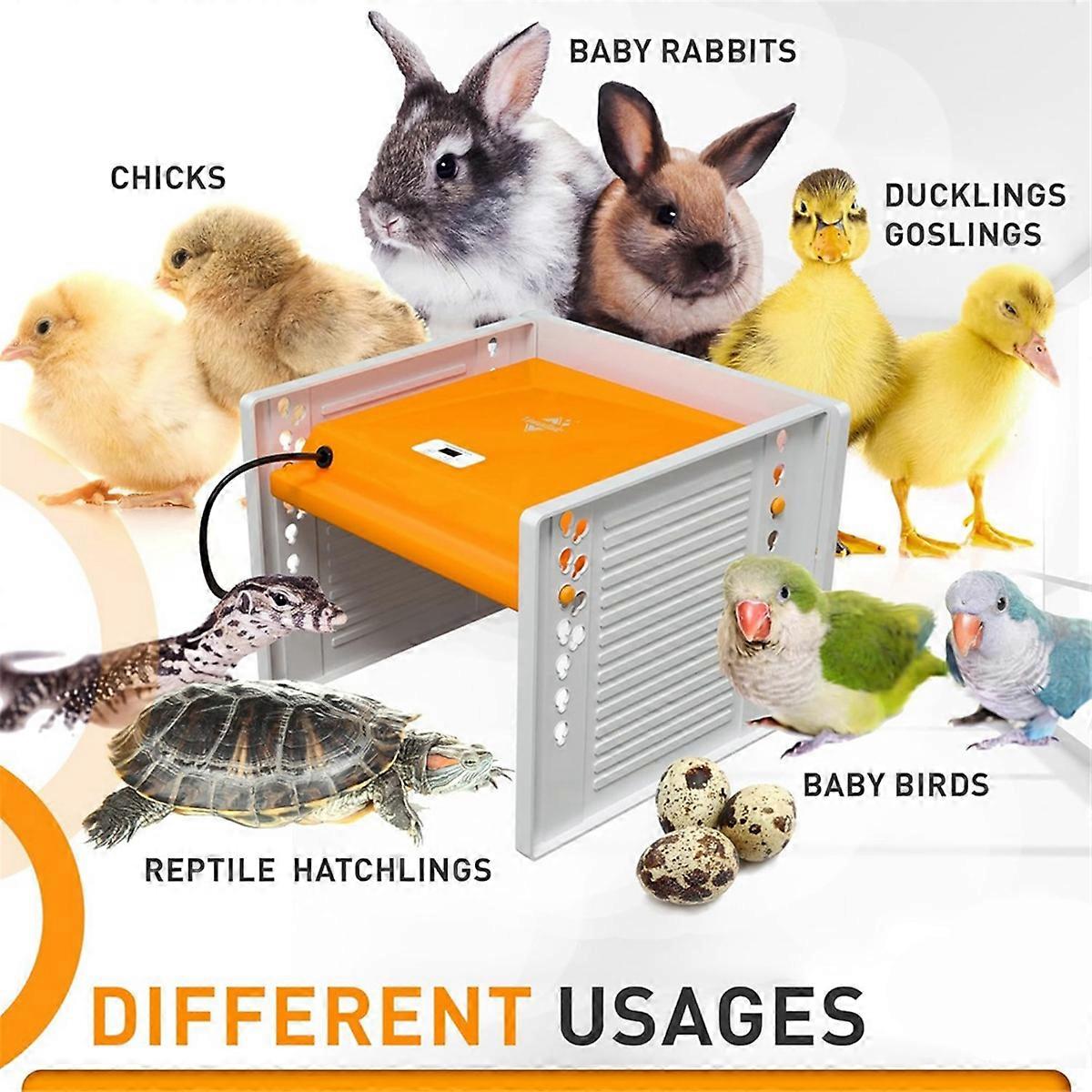 Chick Brooder Heating Plate Chicken Brooder Heater with Adjustable ...