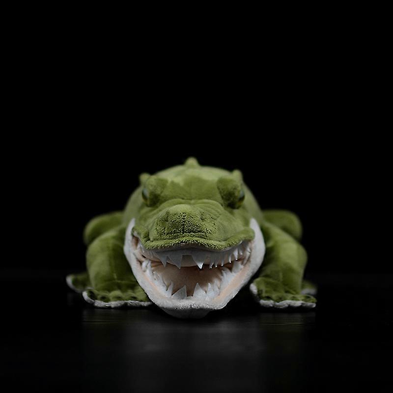 Fsw 50cm New Crocodile Soft Plush Toy Simulation Green Alligator Real ...