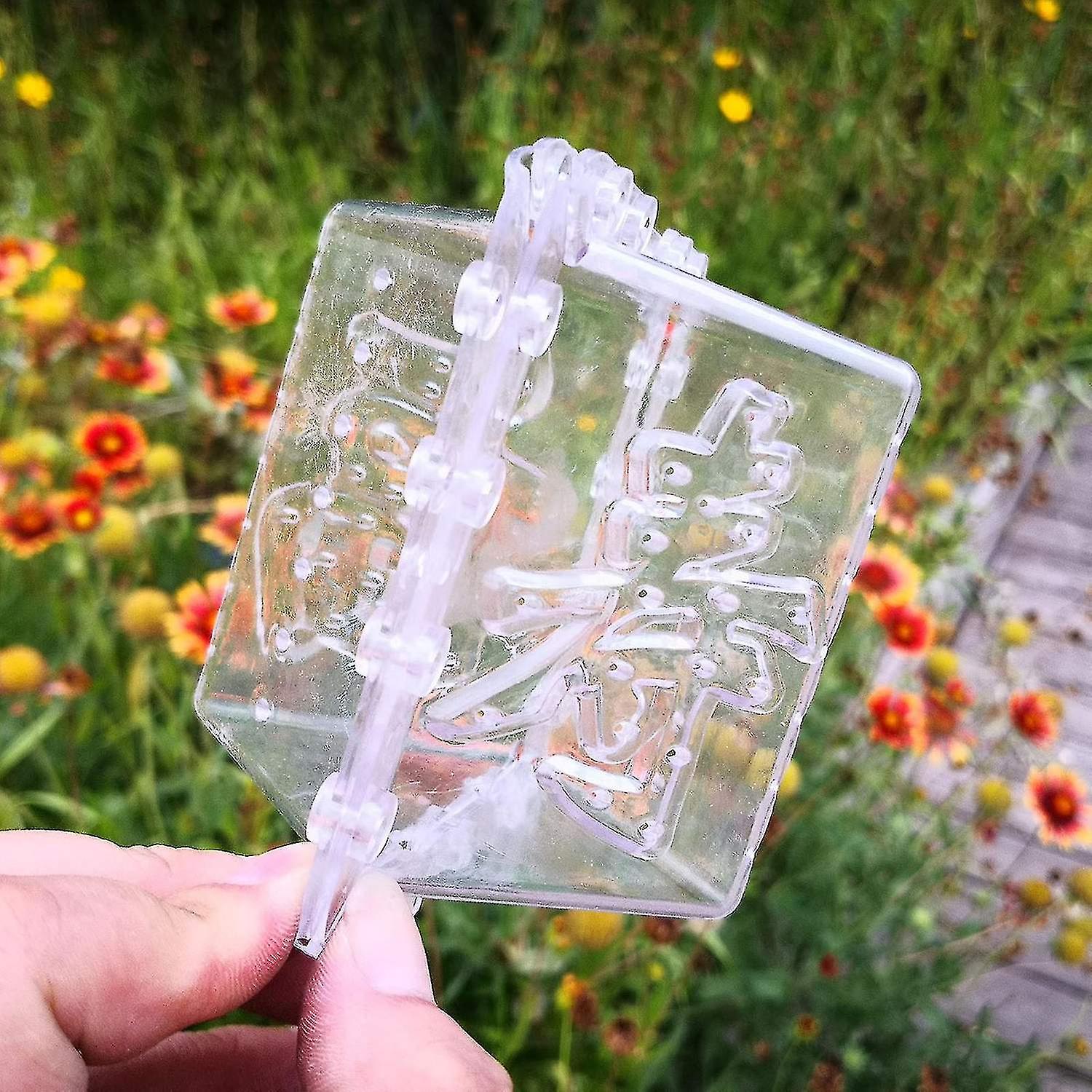 Plastic Square Fruit Growing Mold Garden Fruit Mould Tool Transparent ...