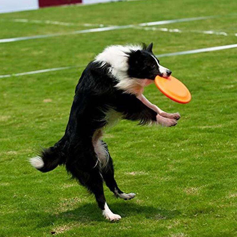 Dog , dog disc, dog , EVA , for land and water, dog training, throwing ...
