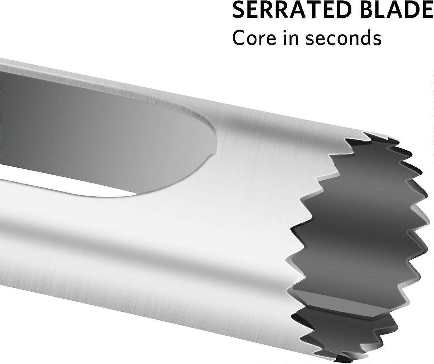 Apple Slicer & Corer with Sharp Stainless Steel Blades and Ergonomic ...