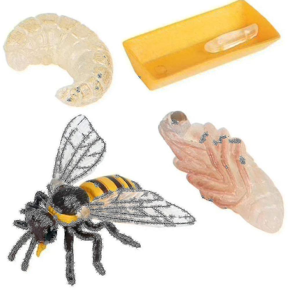 Pack Of 4 Insect Figurines Life Cycle Of Realistic Insects Figures Toys ...