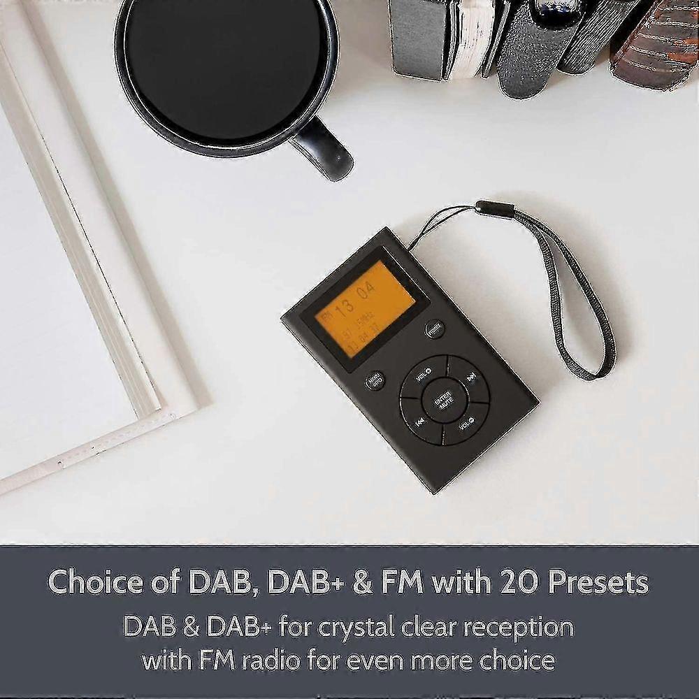 Portable Dab/dab/fm Radio, Rechargeable Battery Powered Portable Dab ...