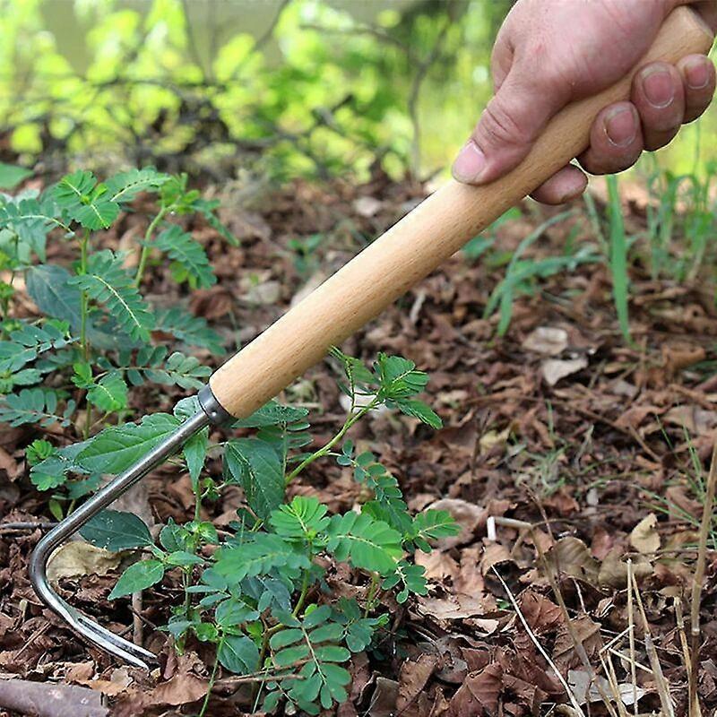 Stainless Steel Garden Hand Weeder, Digging, Transplanting, Weeding ...