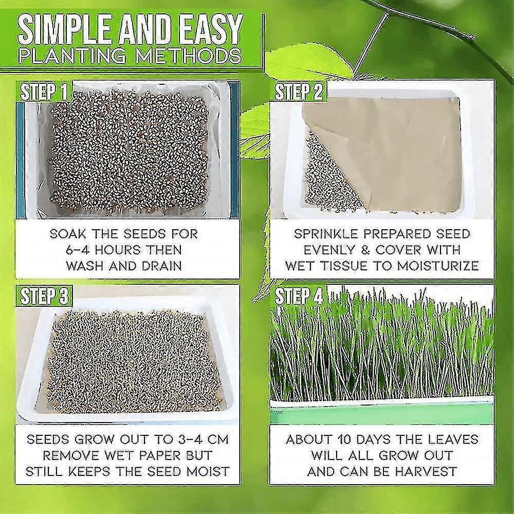 3 Pcs Seed Sprouter Tray, Sprouting Trays For Sprouts Sprouting Tray ...