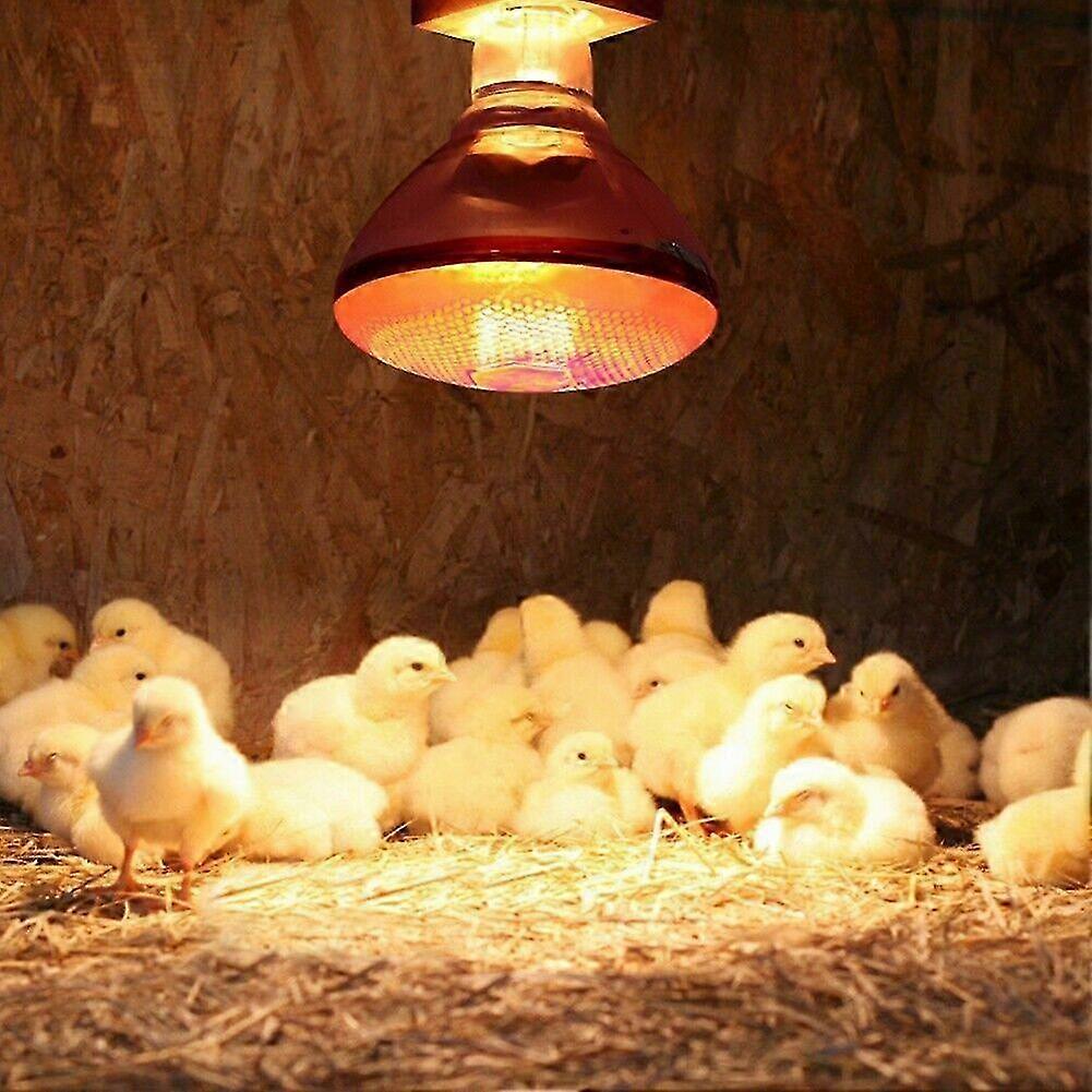 E27 Infrared Heat Lamp for Chickens 220V 100-275 Watts Red Heat Lamp ...