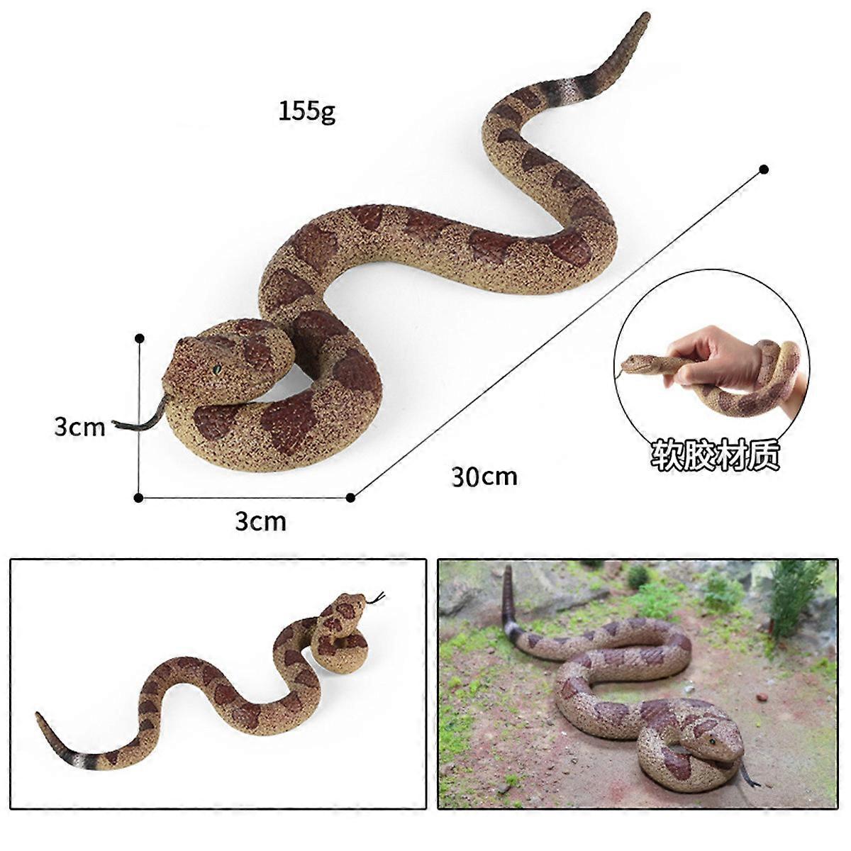 Snake Model Cobra Boa Constrictor Rattlesnake Golden Python Wild Animal ...
