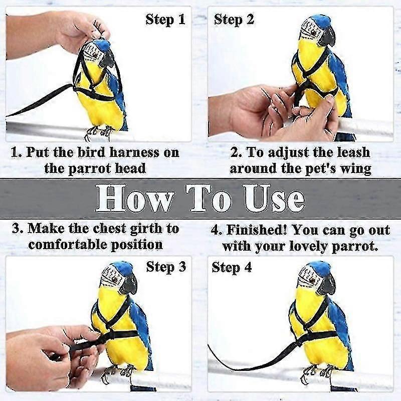 Parrot Bird Harness Leash Outdoor Flying Traction Straps Band ...