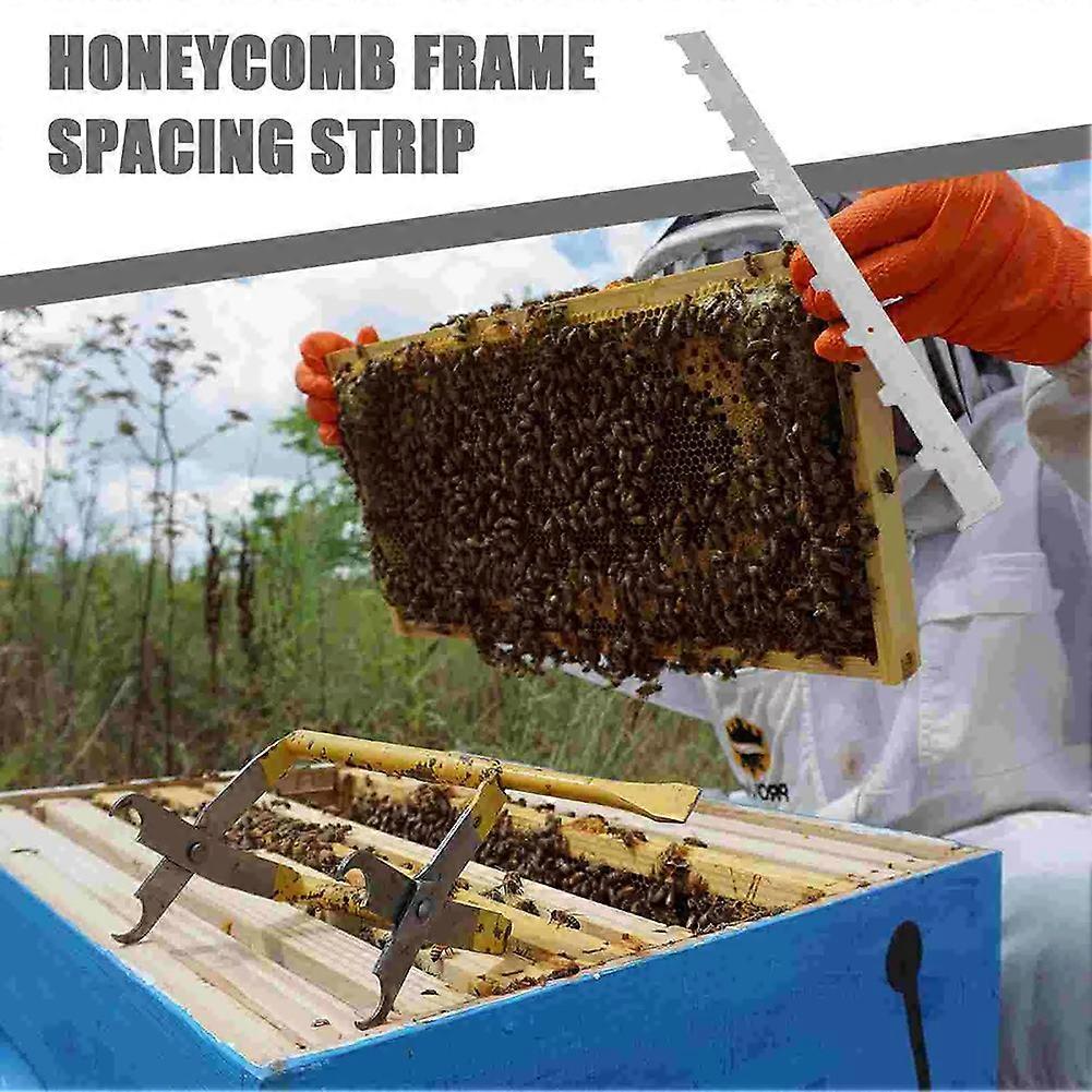 Nest Frame Card Strip Beehive Honeycomb Frame Beehive Sliding Guards ...