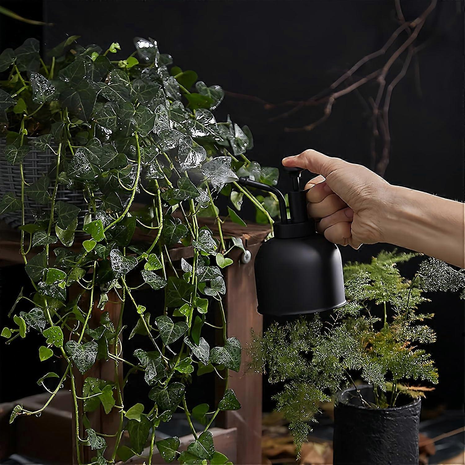 Stainless Steel Plant Sprayer 300 Ml Black Indoor Plants Potted Plants ...