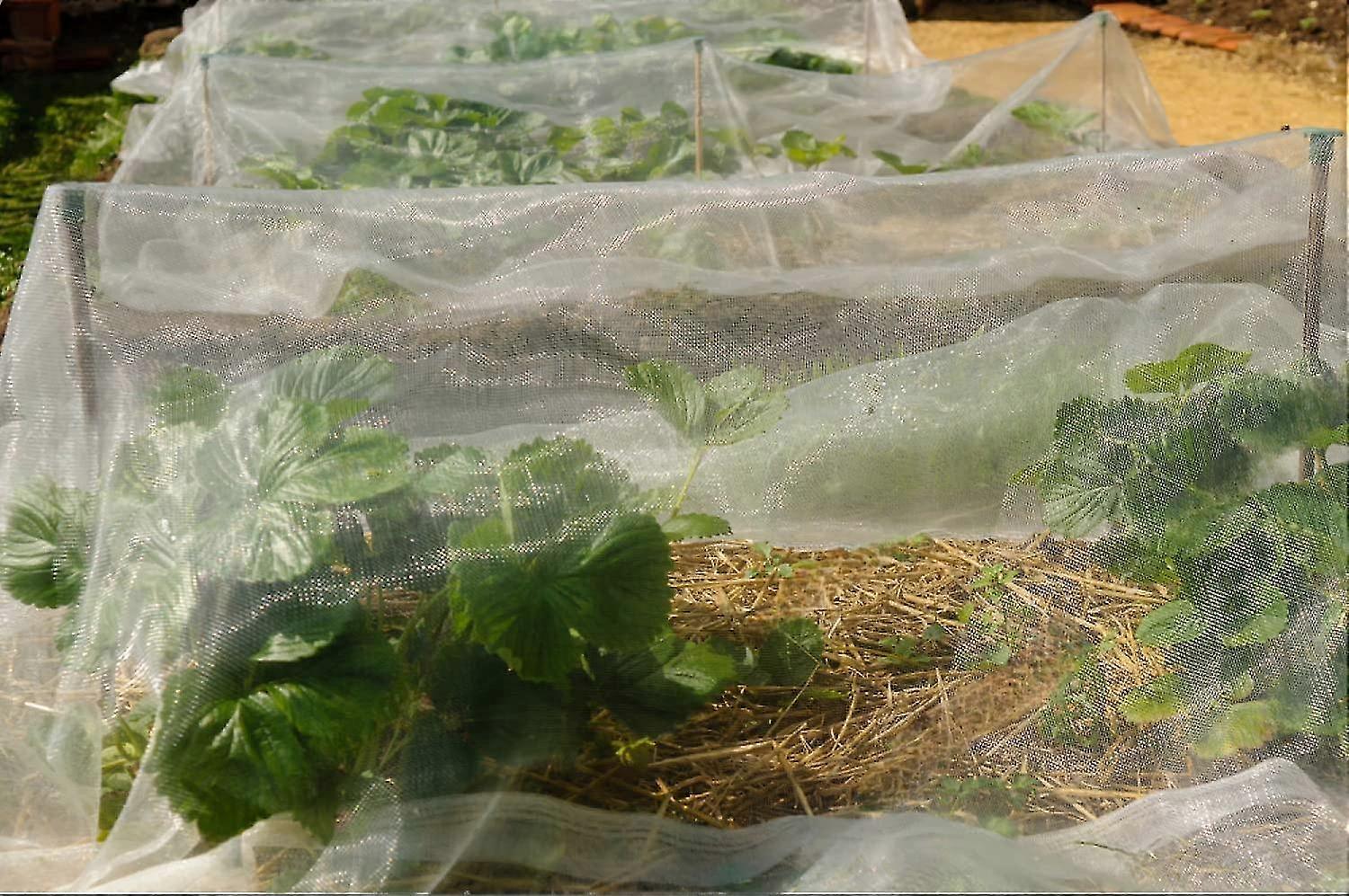 3m x 6m Garden Insect Net for Protecting Plants, Flowers, Vegetables ...