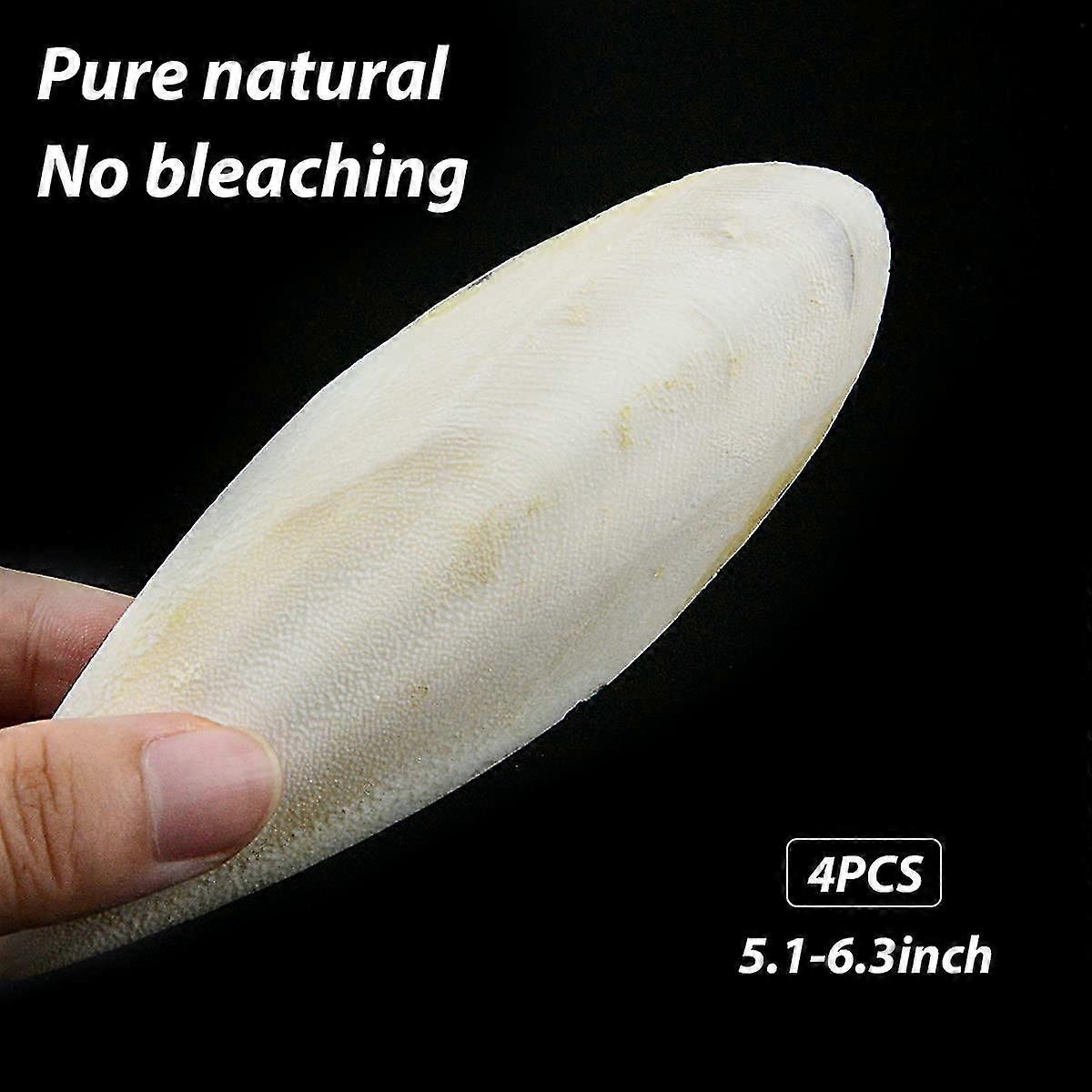 Natural Cuttlefish Bone for Birds Parrots - Chewing Toys for Cage Birds ...