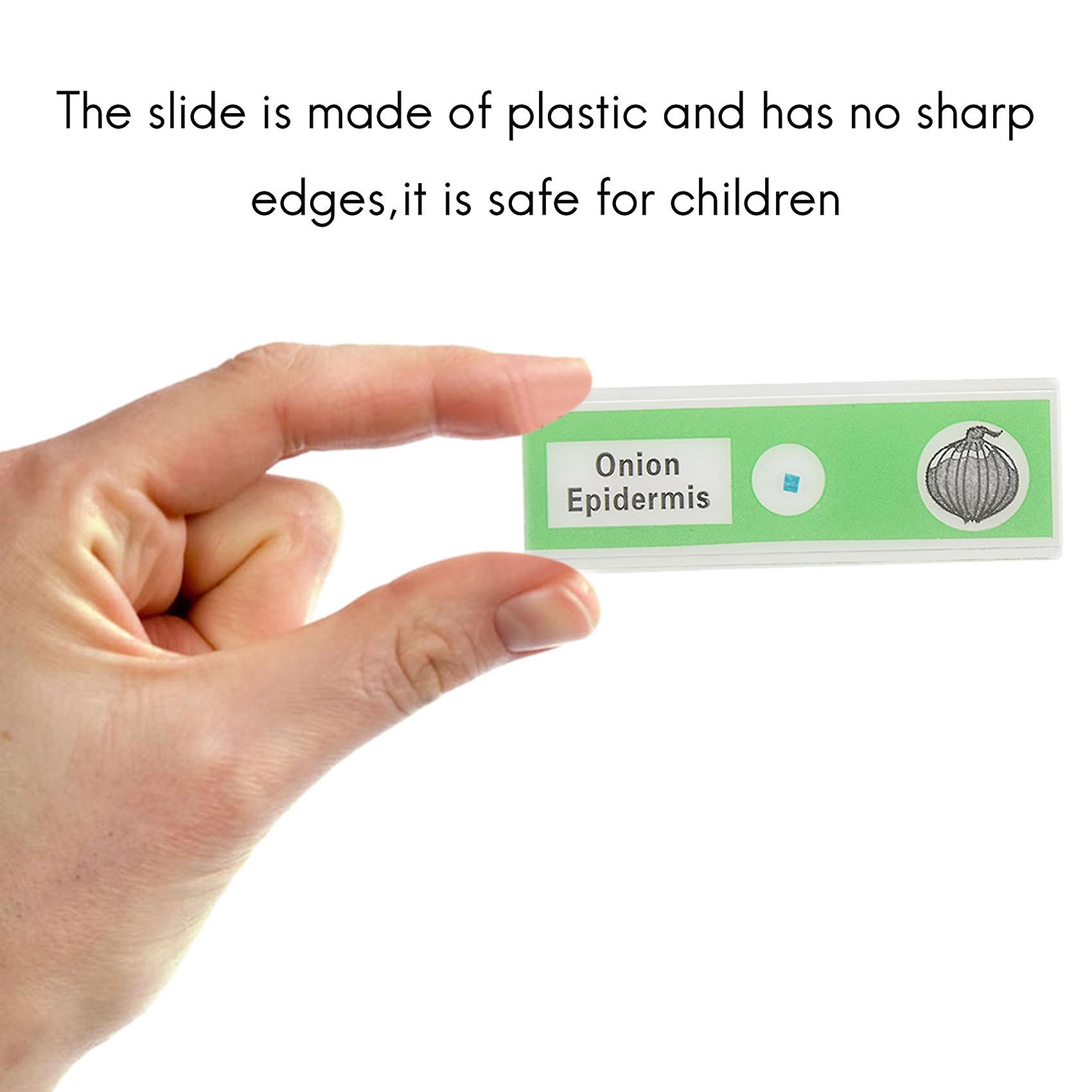 48pcs Kids Plastic Prepared Microscope Slides Of Animals Insects Plants ...