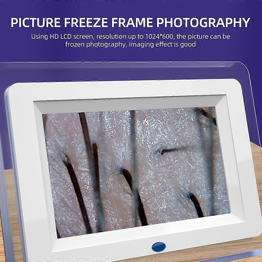 HaKeLai 7 Inch LCD Scalp Detector Digital Hair Skin Analyzer Microscope ...