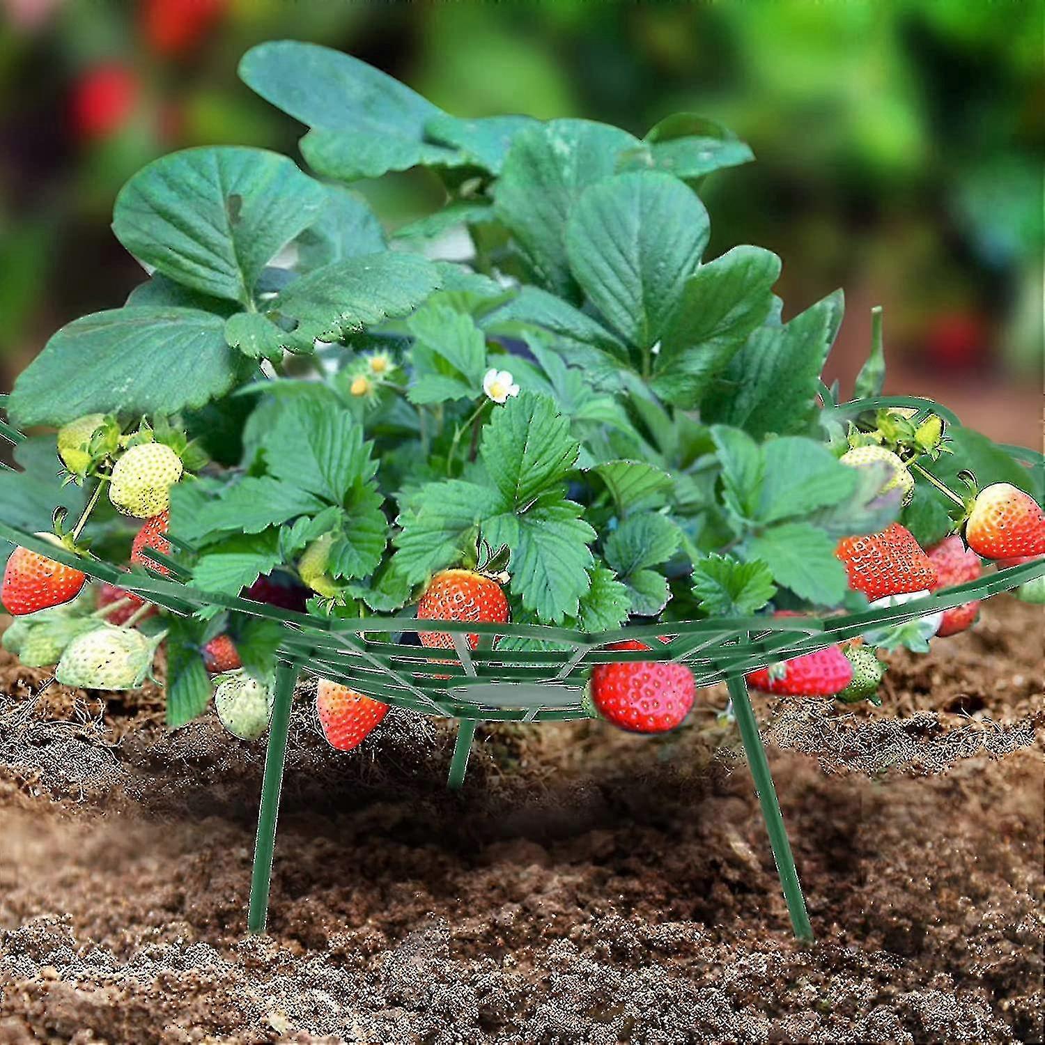 Strawberry Stand, Portable Strawberry Stand With 4 Sturdy Legs ...