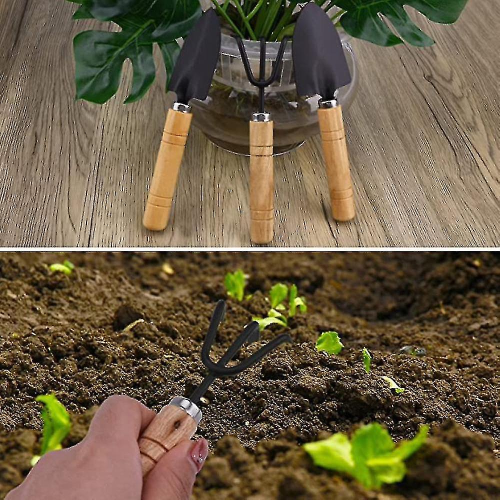 Bulb planting tools 10pcs succulent plant tools set mini garden plant ...