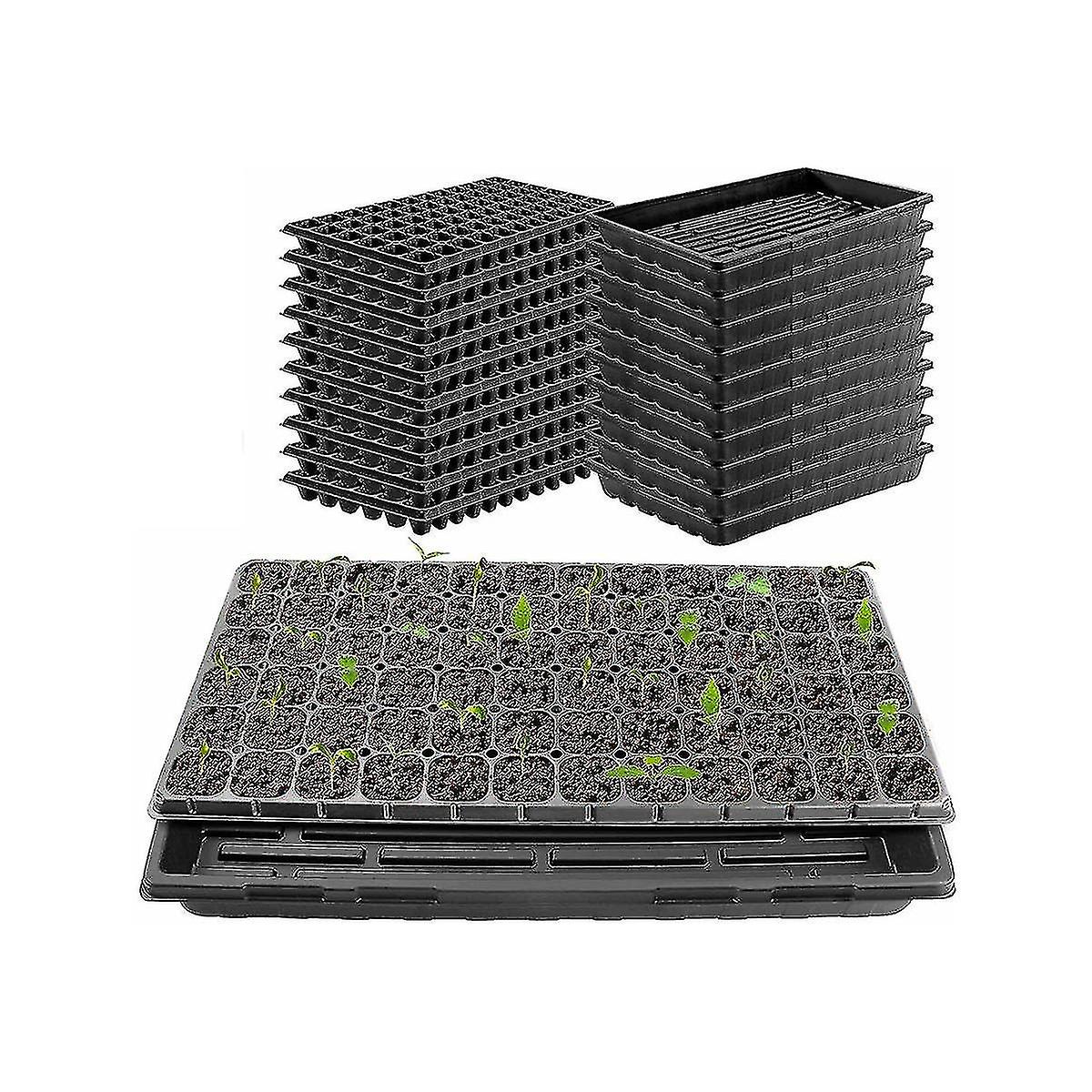 250-grid Seed Tray,plant Growth Tray For Seedling Germination, Indoor ...