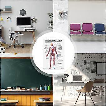 Human Anatomy Poster Nervous System Poster Educational Comprehensive ...