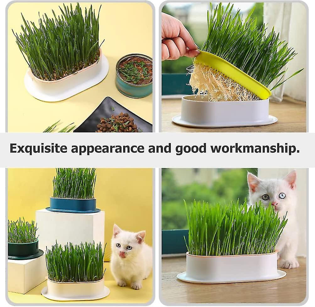3pcs Grass Growing Kit Window Garden Kit Hydroponic Grass Box Sprouter ...