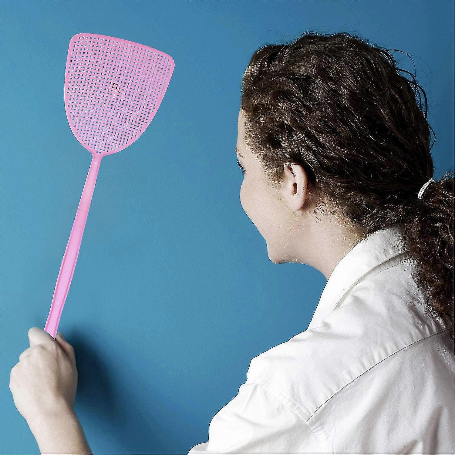 Fly Swatter 10 Pack Plastic Long Handle Fly Swat Manual Swat Pest Control for Flies and Mosquito ...
