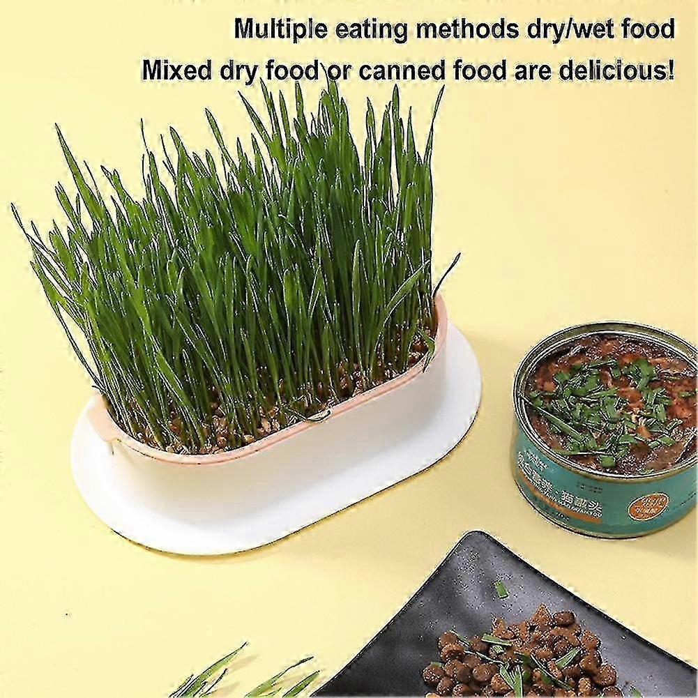 Hydroponic Cat Grass Planter Tray Plastic Catnip Cat Grass Box Soil ...