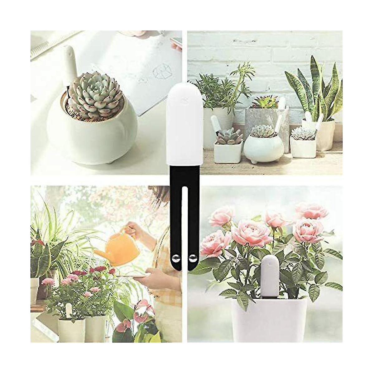 Flower Plant Monitor Soil Test Tracker Intelligent Bluetooth Monitor ...