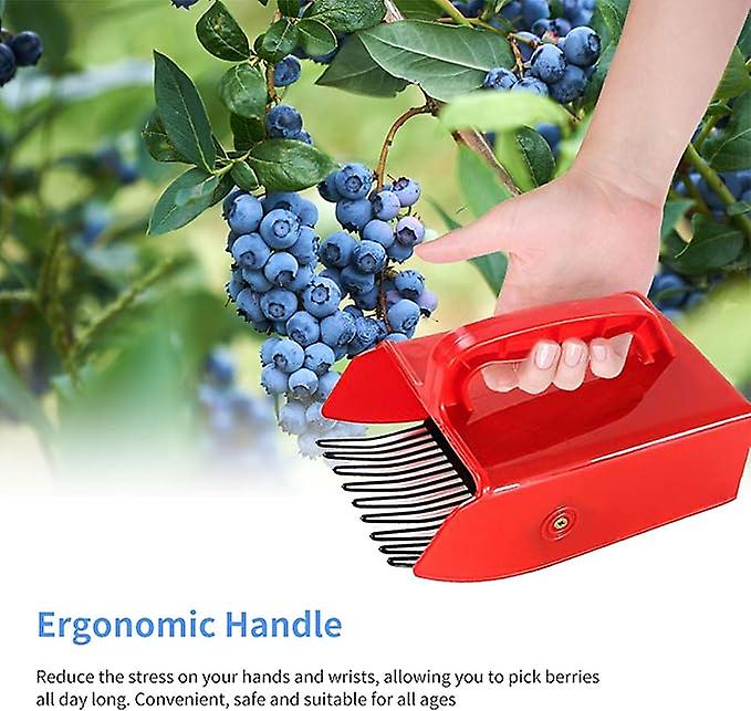 Berry Picker Tool Shovel, Rake Tool, Blueberry Rake Harvester with ...