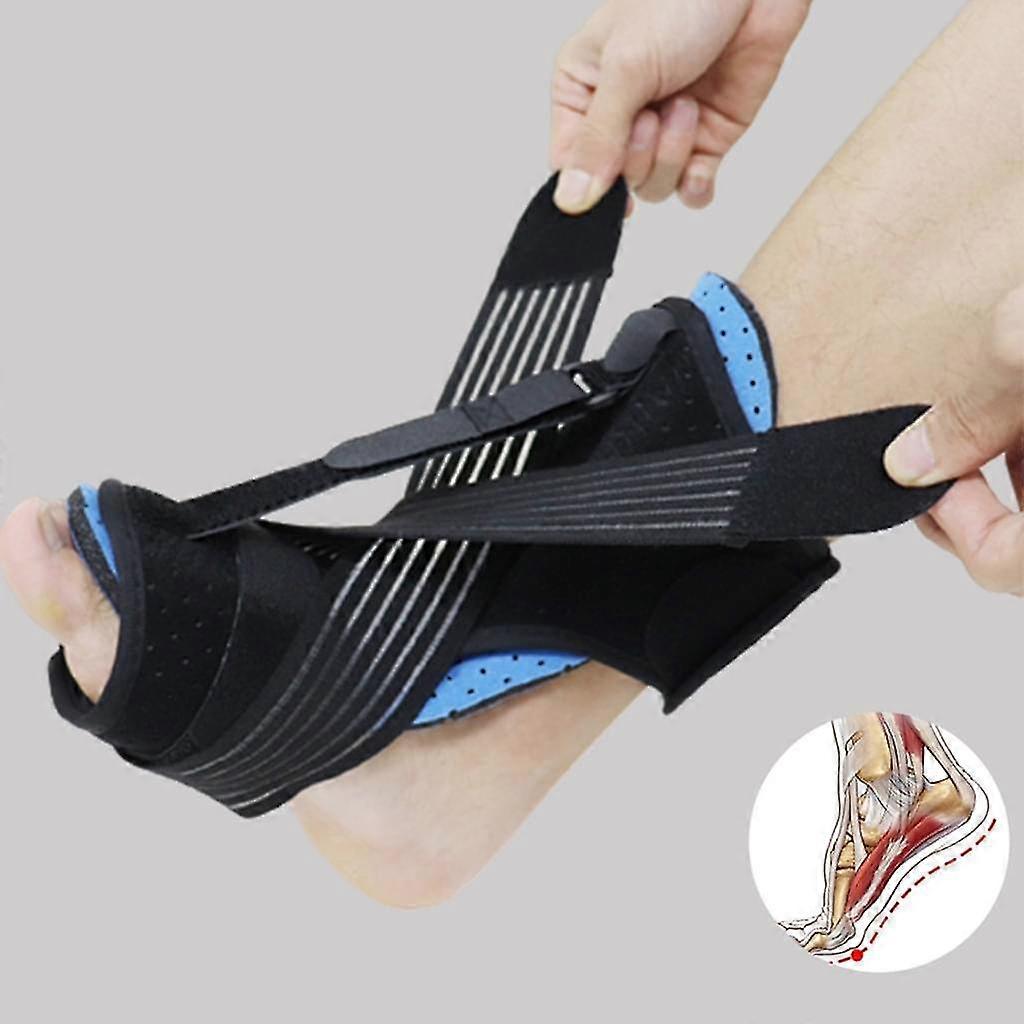 Plantar Fasciitis Foot Splint Night Splint, Drop Foot Orthosis With ...
