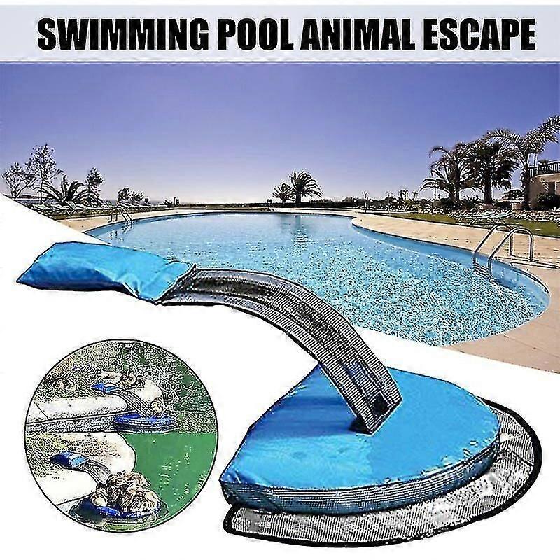 Animal Rescue Escape Ramp for Swimming Pool - Floating Ramp Rescue Frog ...