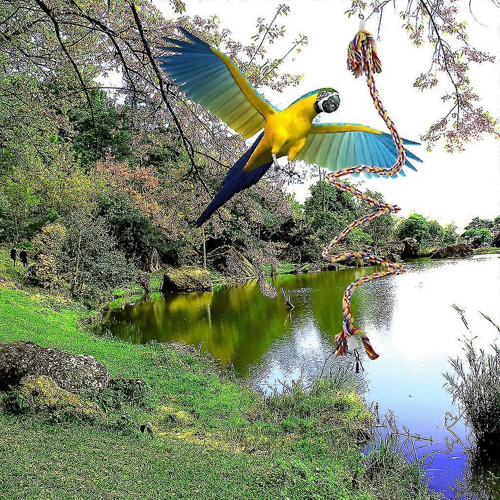 Bird Swing Cotton Rope Spiral-perch Parrot Climbing Toy Boredom Breaker ...