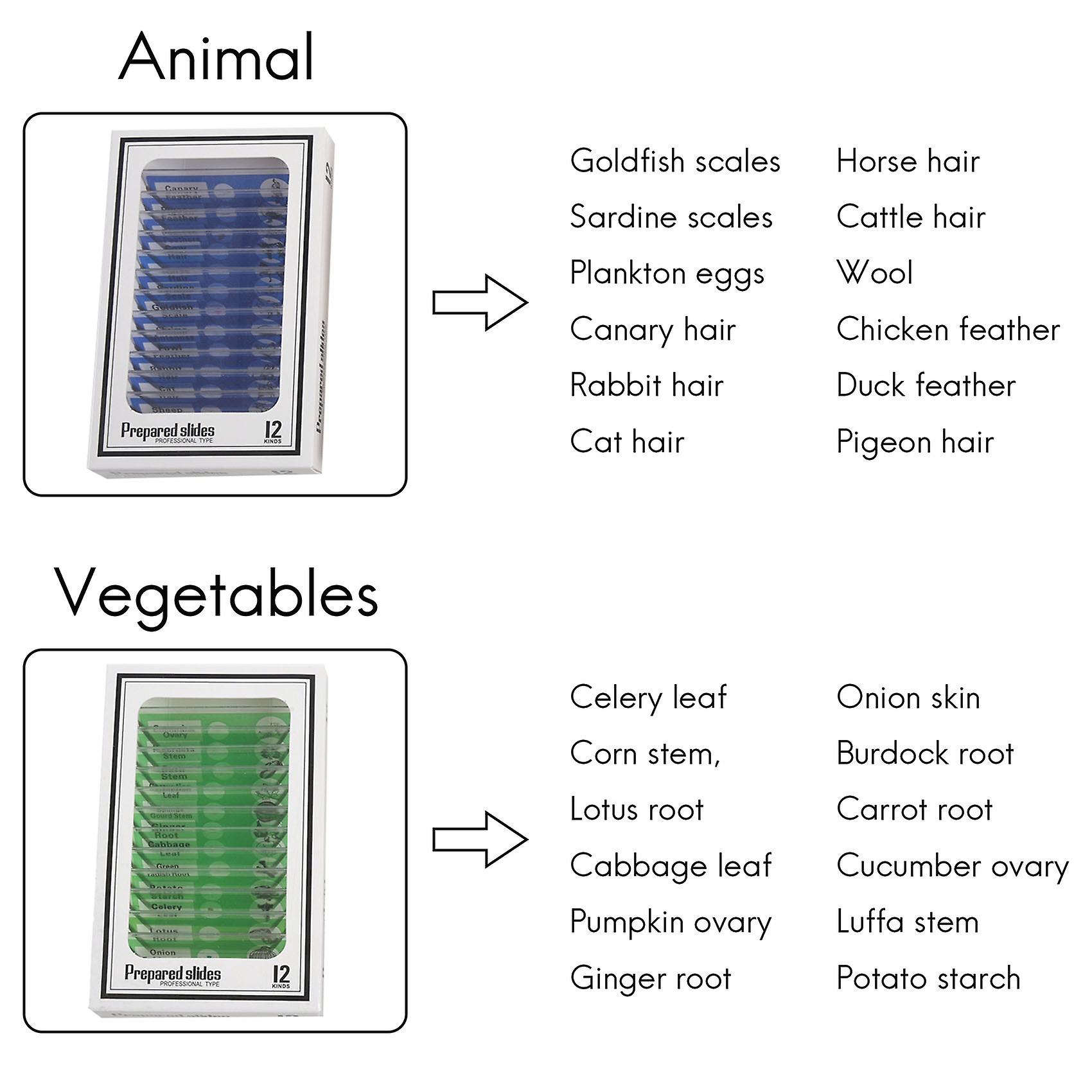 48pcs Kids Plastic Prepared Microscope Slides Of Animals Insects Plants ...