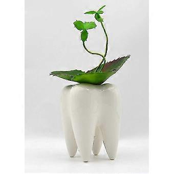 Ceramic Tooth Pencil Toothbrush Holder Pot Meat Plant Pot Home Office ...
