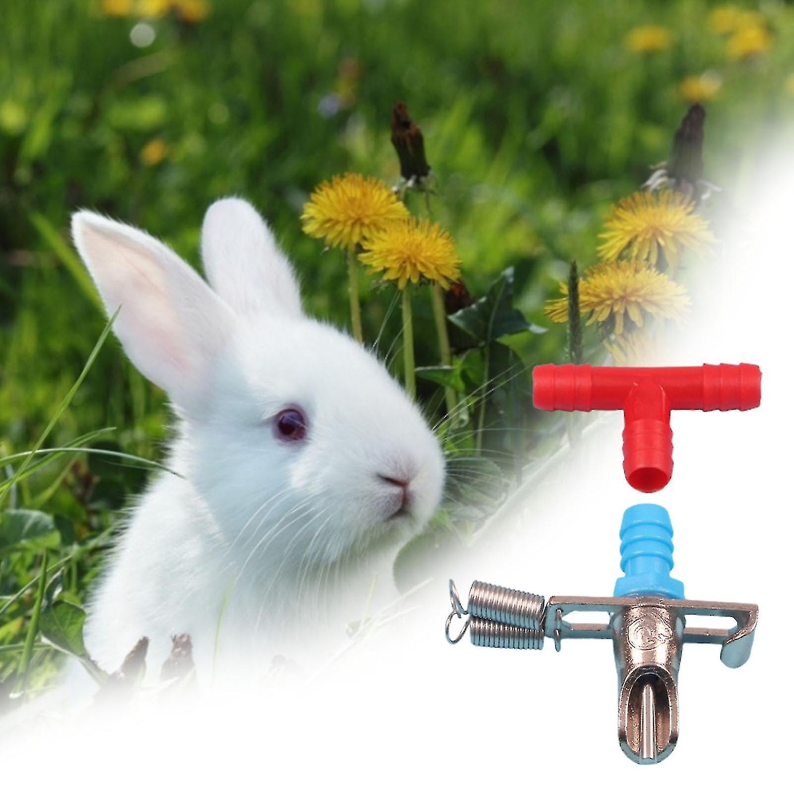 5 Sets Drinking Water Mouth Automatic Double Springs Pet Supplies Bunny ...