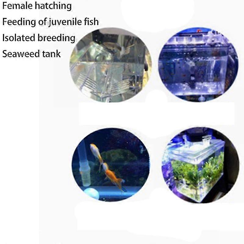 Clear Fish Tank Breeding Hatchery House Incubator Aquarium Transparent ...
