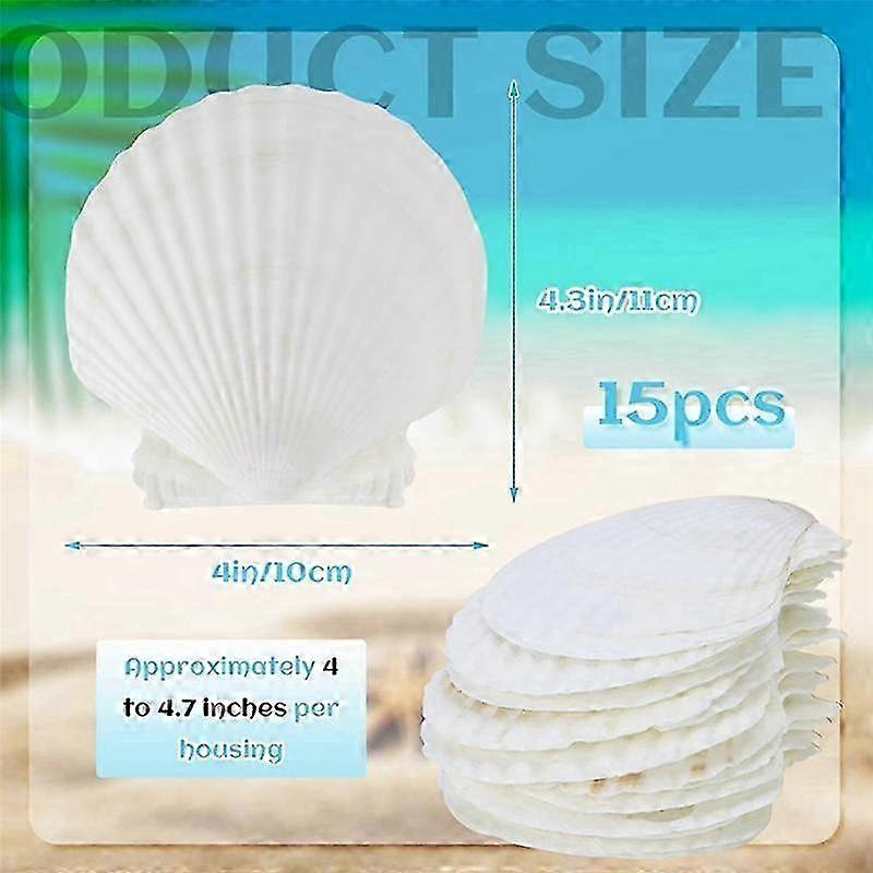 15 PCS Natural Sea Shell Large White, 4-4.7 Inch Scallop Shells for DIY ...