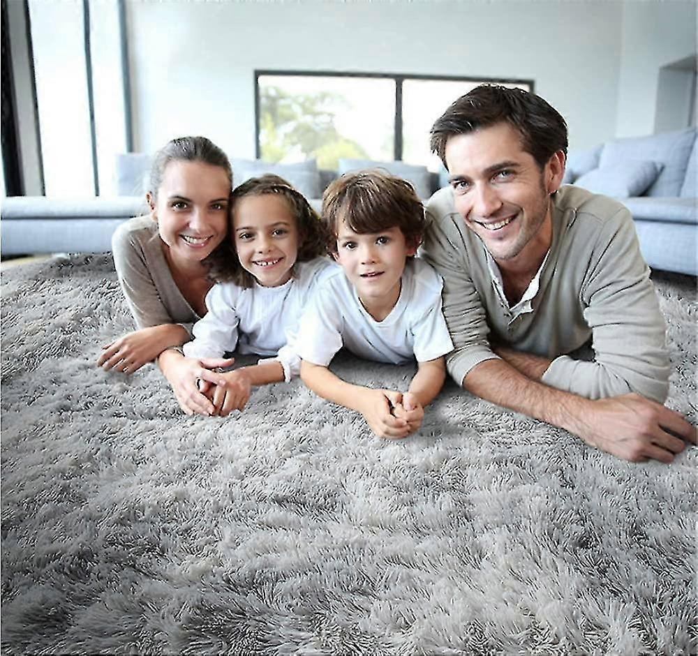 (light Grey, 80200cm)fluffy Faux Fur Floor Rug Fluffy Carpet Gradient ...