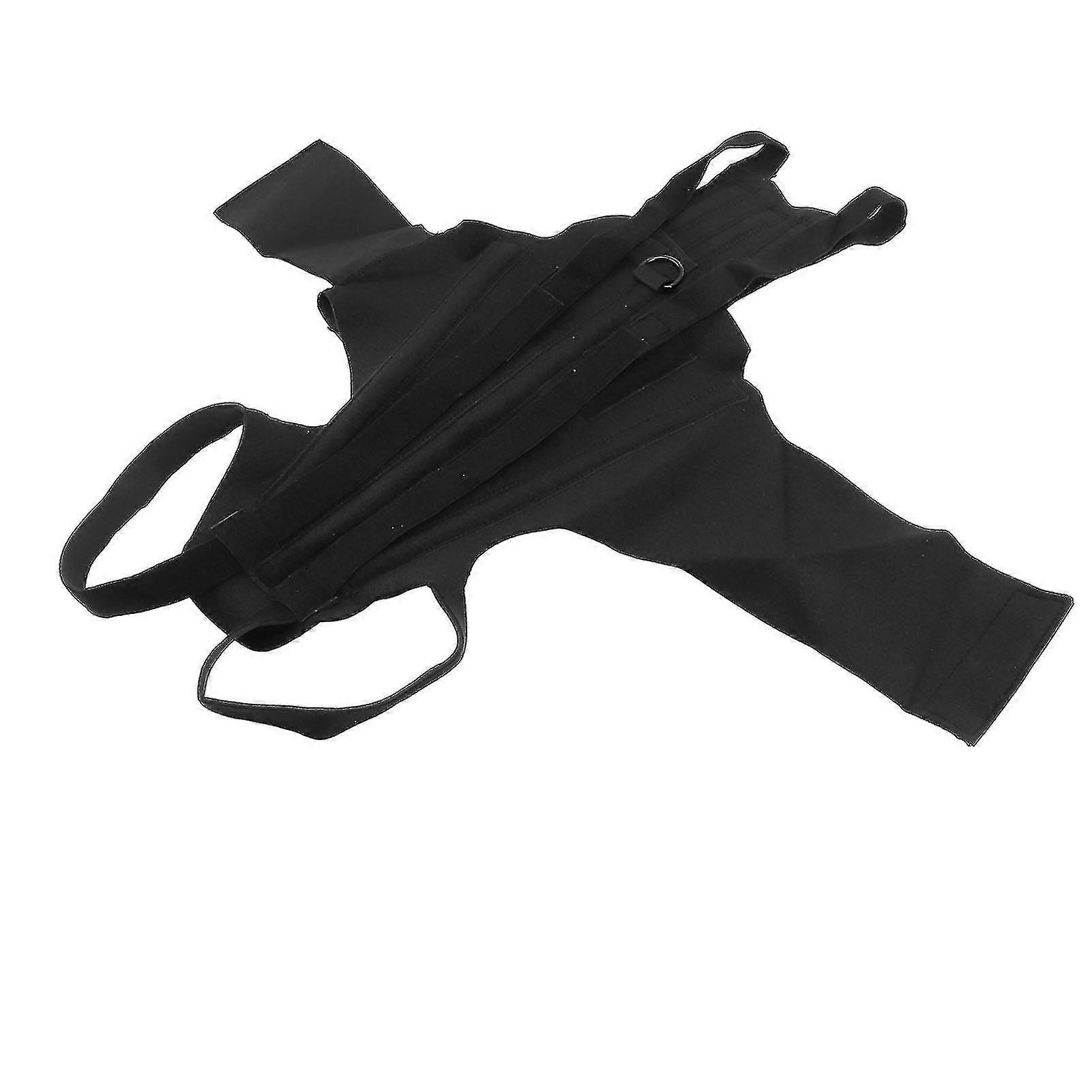 Dog Back Bracer Spinal Surgery Recovery Herniated Disc Slipped Disc Pet ...