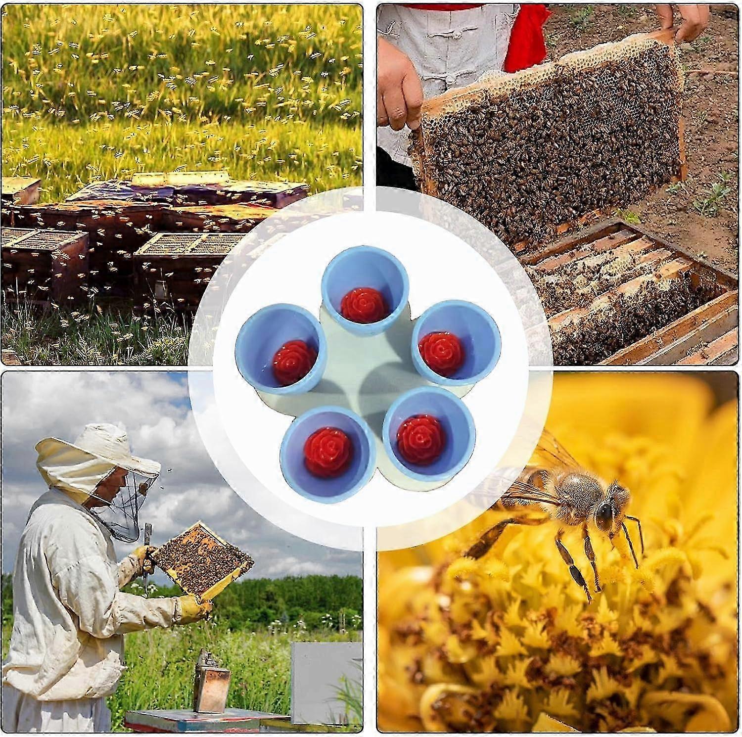 Garden-Inspired Bee Drinking Stations with Colorful Cups for Thirsty ...