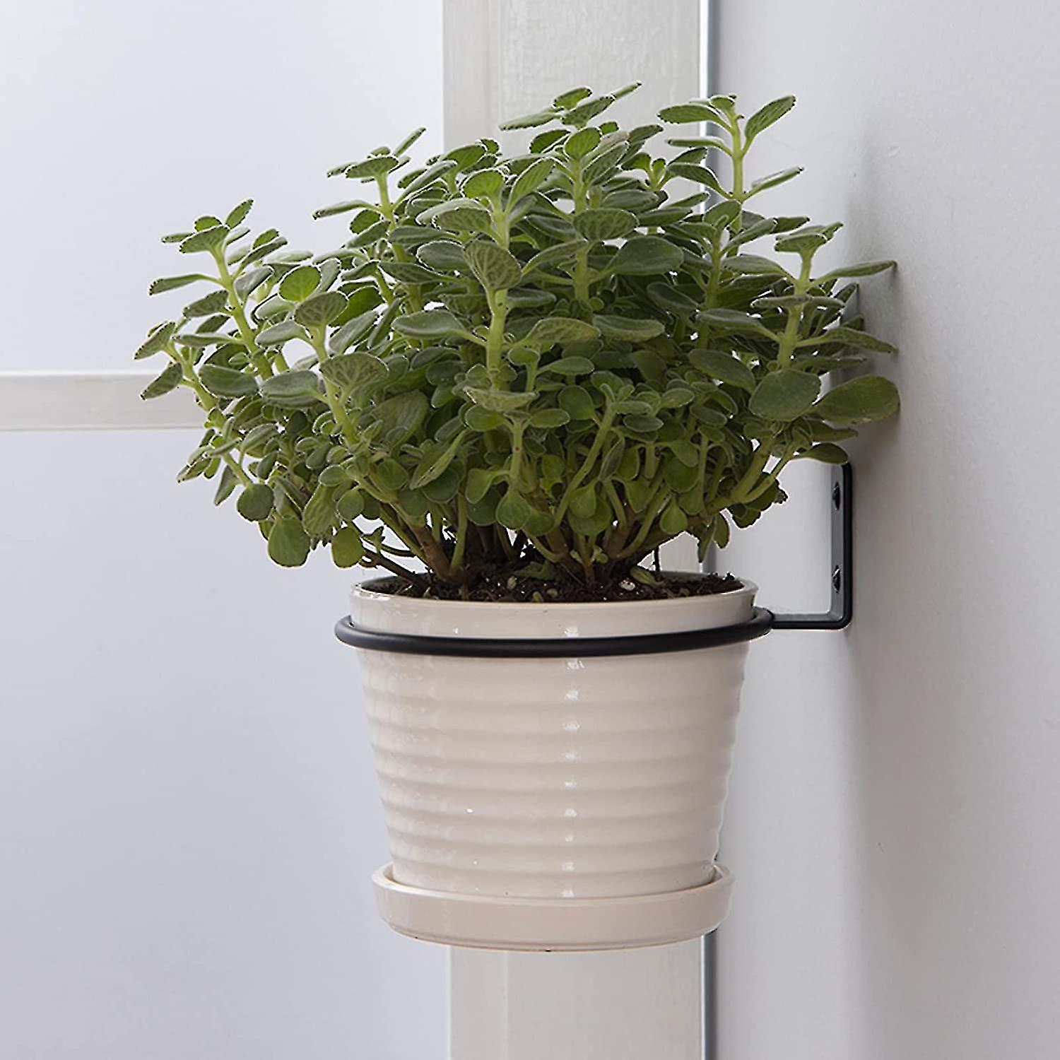 Wall Pot, Metal Planter Stand With Screw Ring Flower Pot Holder, For ...