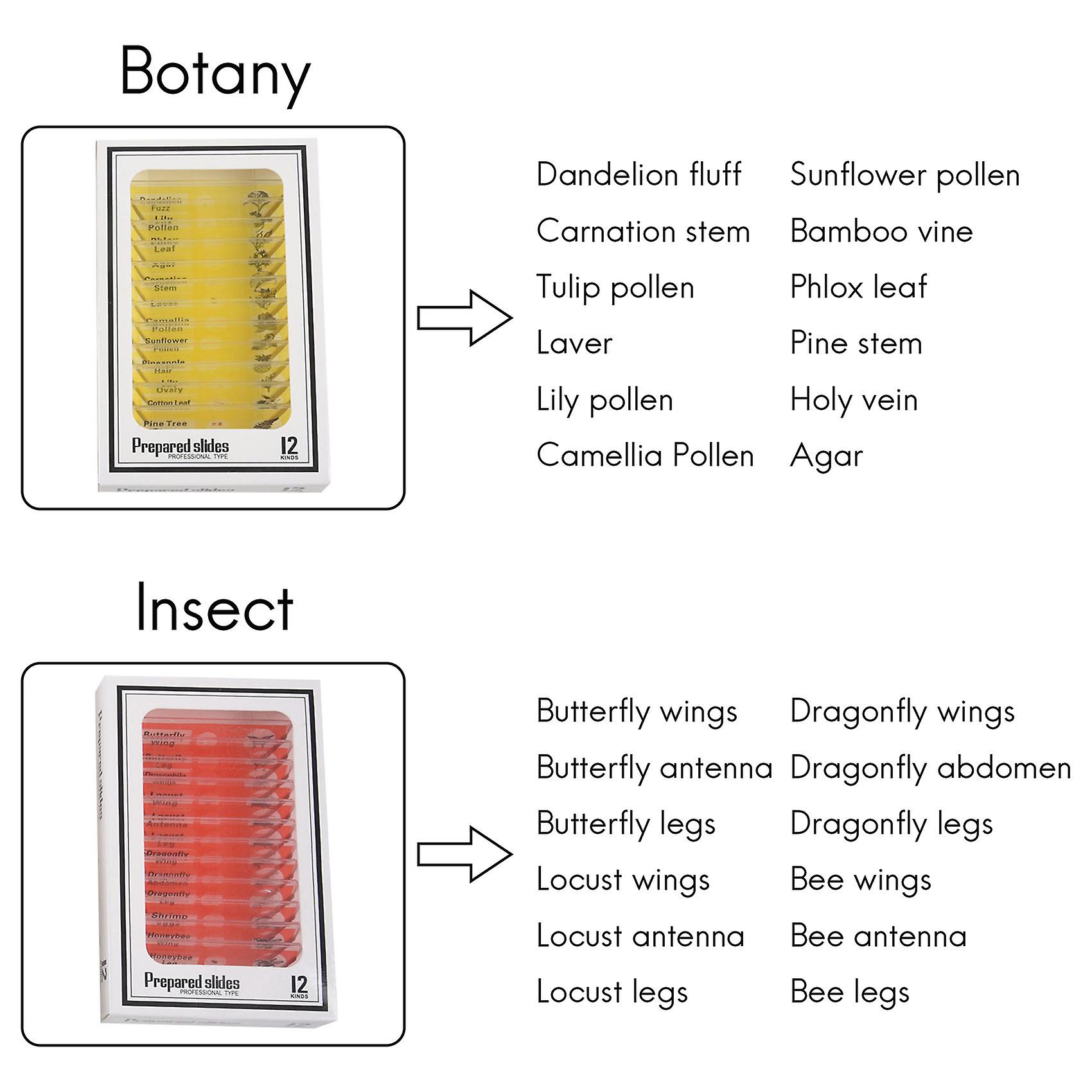 48pcs Kids Plastic Prepared Microscope Slides Of Animals Insects Plants ...